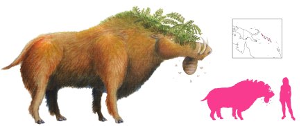 Boongurunguru | A Book of Creatures