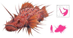 Caspilly | A Book of Creatures