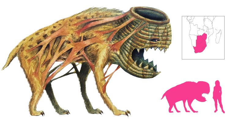 South Africa | A Book of Creatures