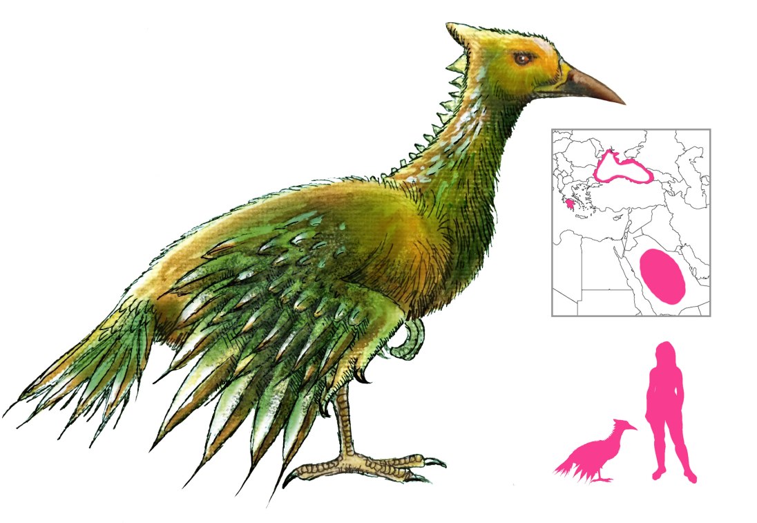 Stymphalian Bird | A Book of Creatures