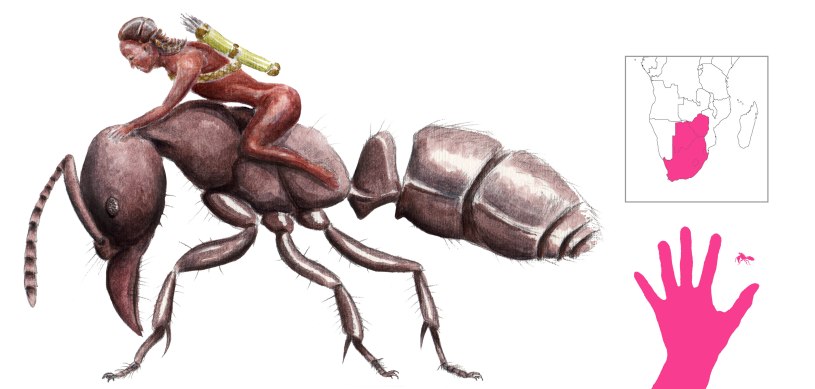 A Book of Creatures | A Complete Guide to Entities of Myth, Legend, and ...