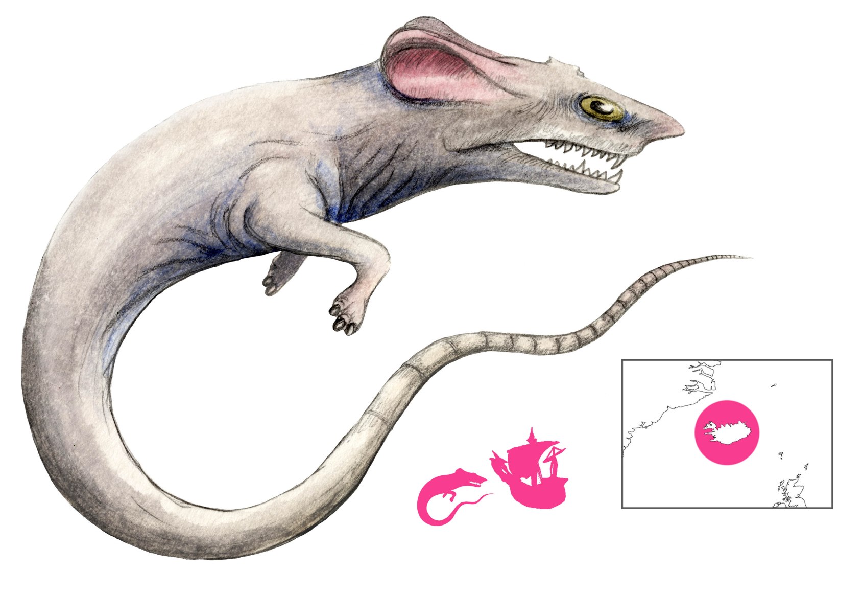 A Book of Creatures | A Complete Guide to Entities of Myth, Legend, and ...