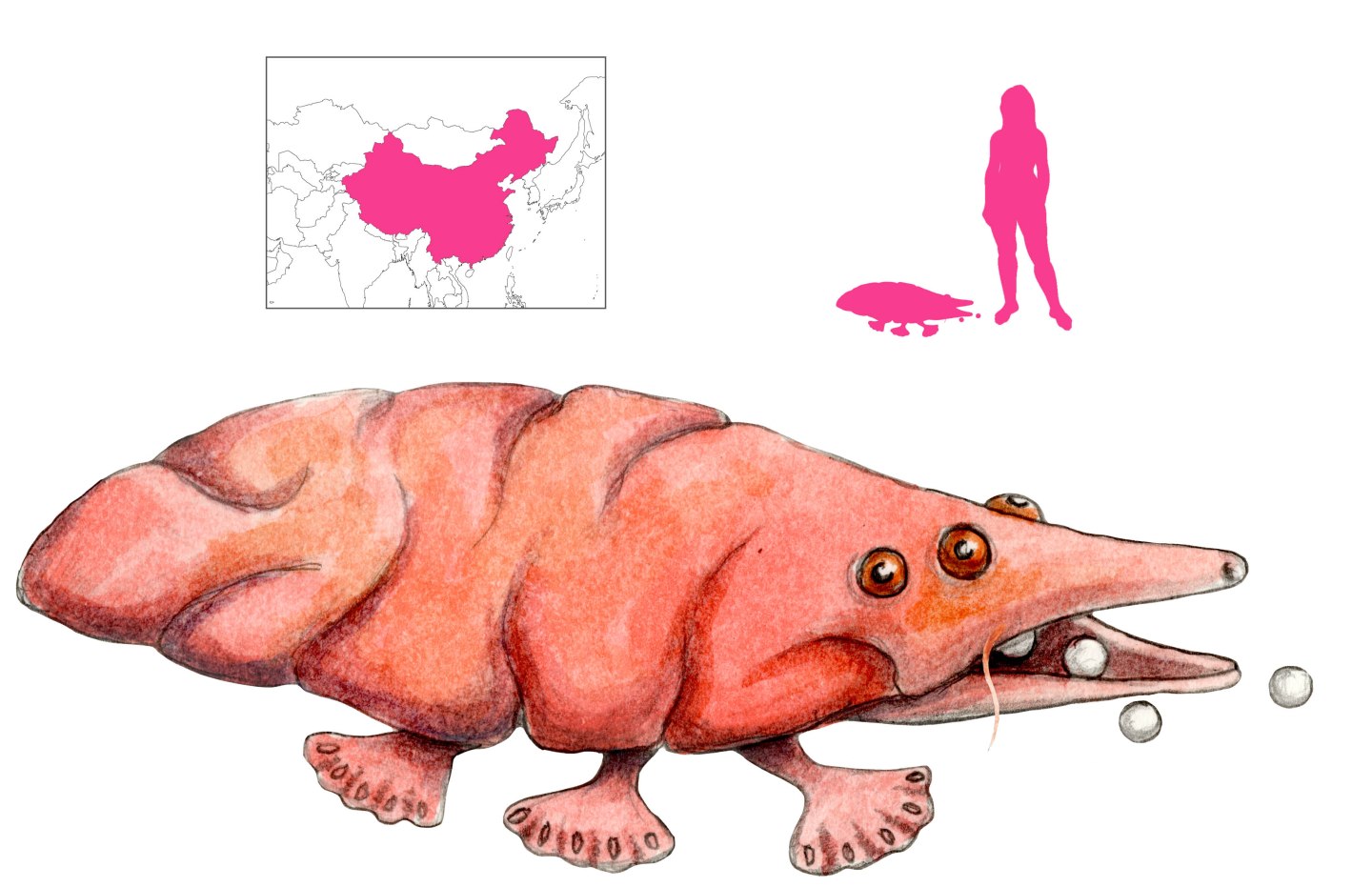 Gemstones | A Book of Creatures