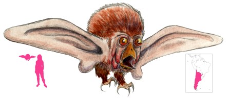 Chonchón | A Book of Creatures