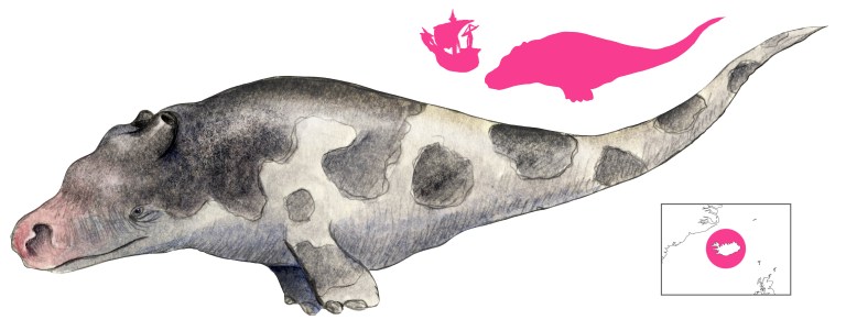 Nauthveli | A Book of Creatures