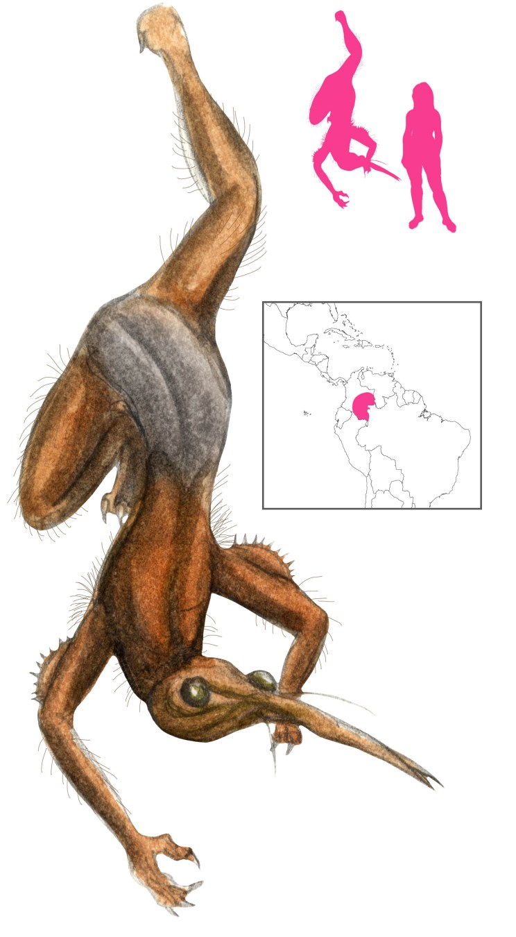 South American folklore | A Book of Creatures | Page 3