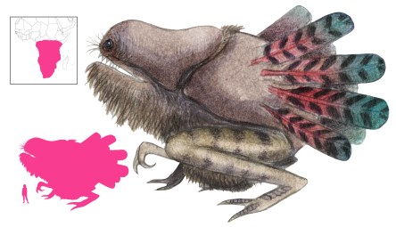 Isiququmadevu | A Book of Creatures