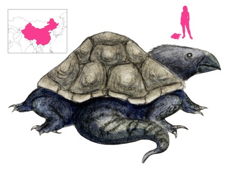 Xuangui | A Book of Creatures