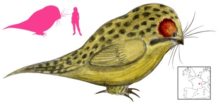 Air and Sky | A Book of Creatures | Page 4