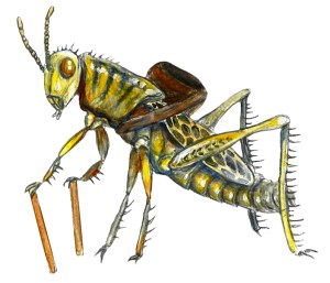 A Book of Creatures | A Complete Guide to Entities of Myth, Legend, and ...