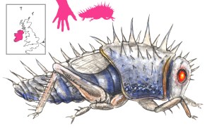 A Book of Creatures | A Complete Guide to Entities of Myth, Legend, and ...