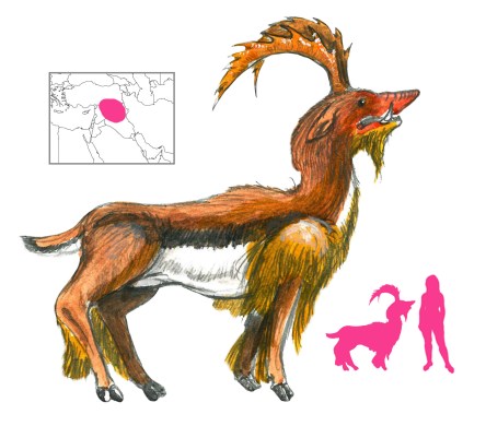 Middle Eastern folklore | A Book of Creatures