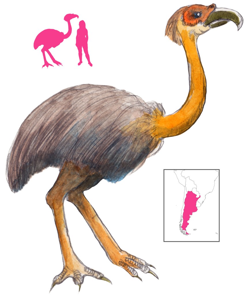 Tuyango | A Book of Creatures