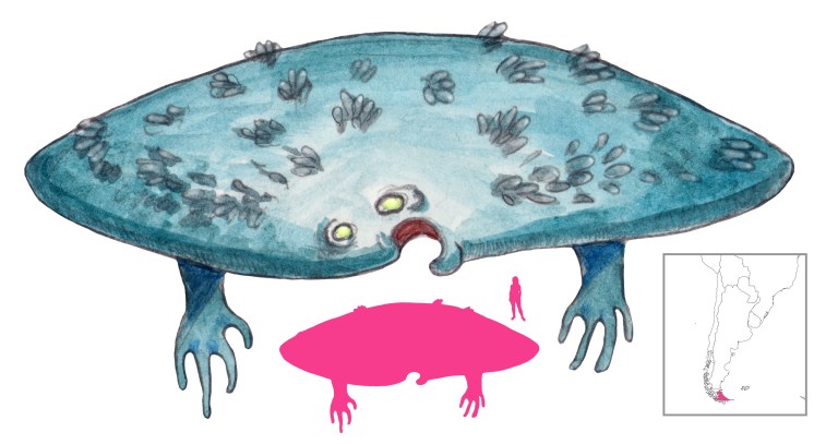 A Book of Creatures | A Complete Guide to Entities of Myth, Legend, and ...