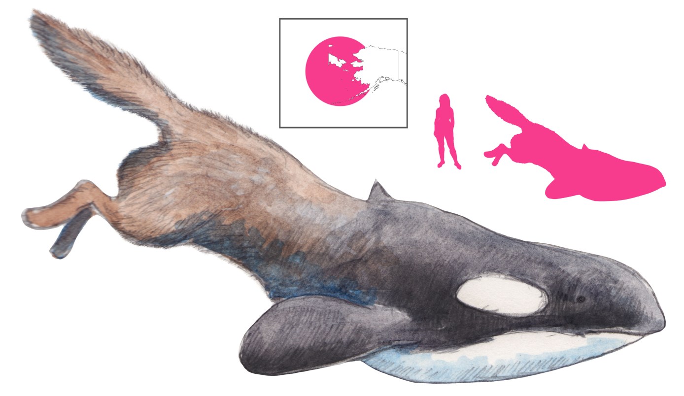 Yupik | A Book of Creatures