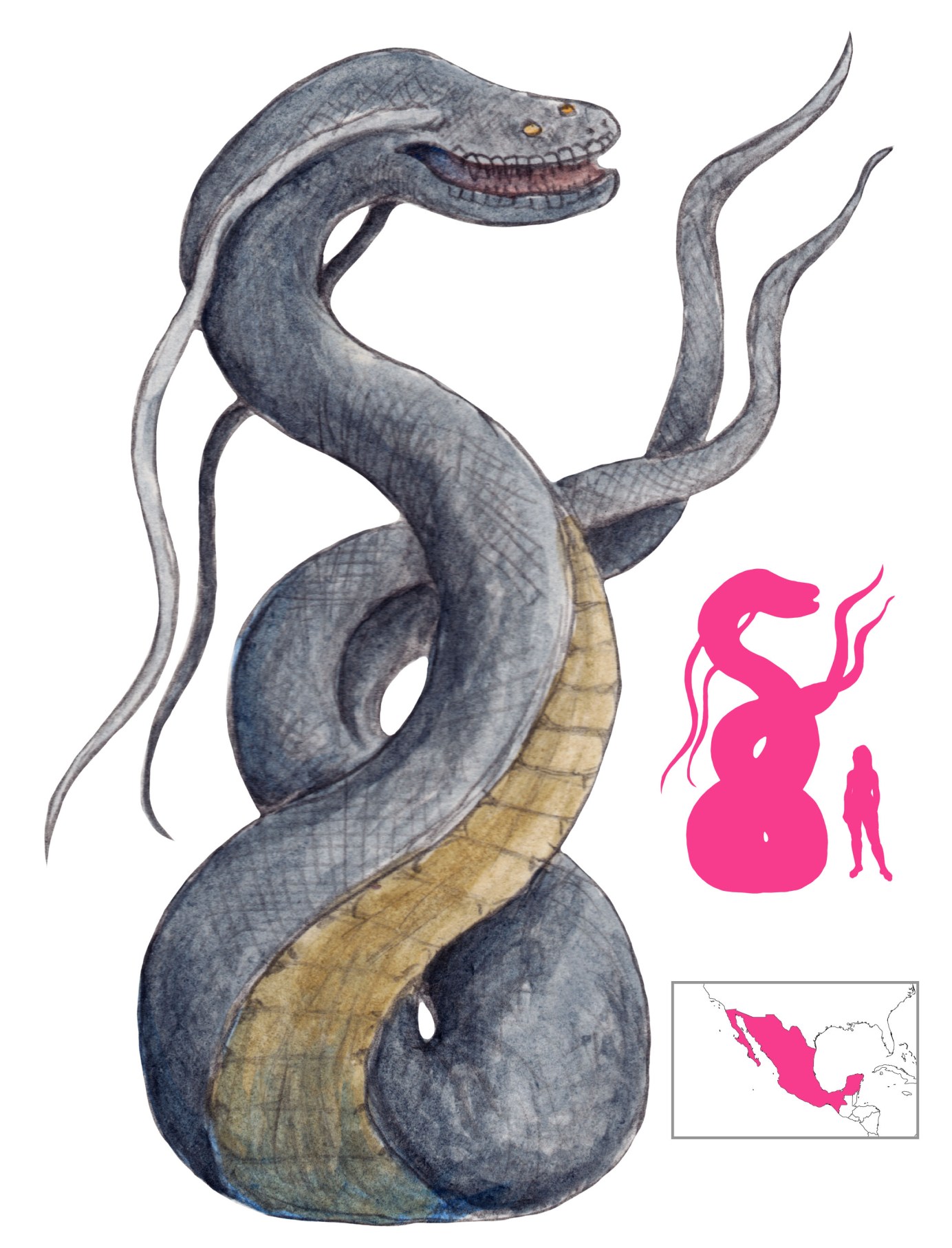 A Book of Creatures | A Complete Guide to Entities of Myth, Legend, and ...