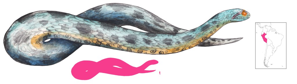 Yakumama | A Book of Creatures