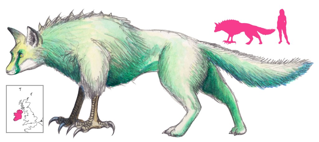 Onchú | A Book of Creatures