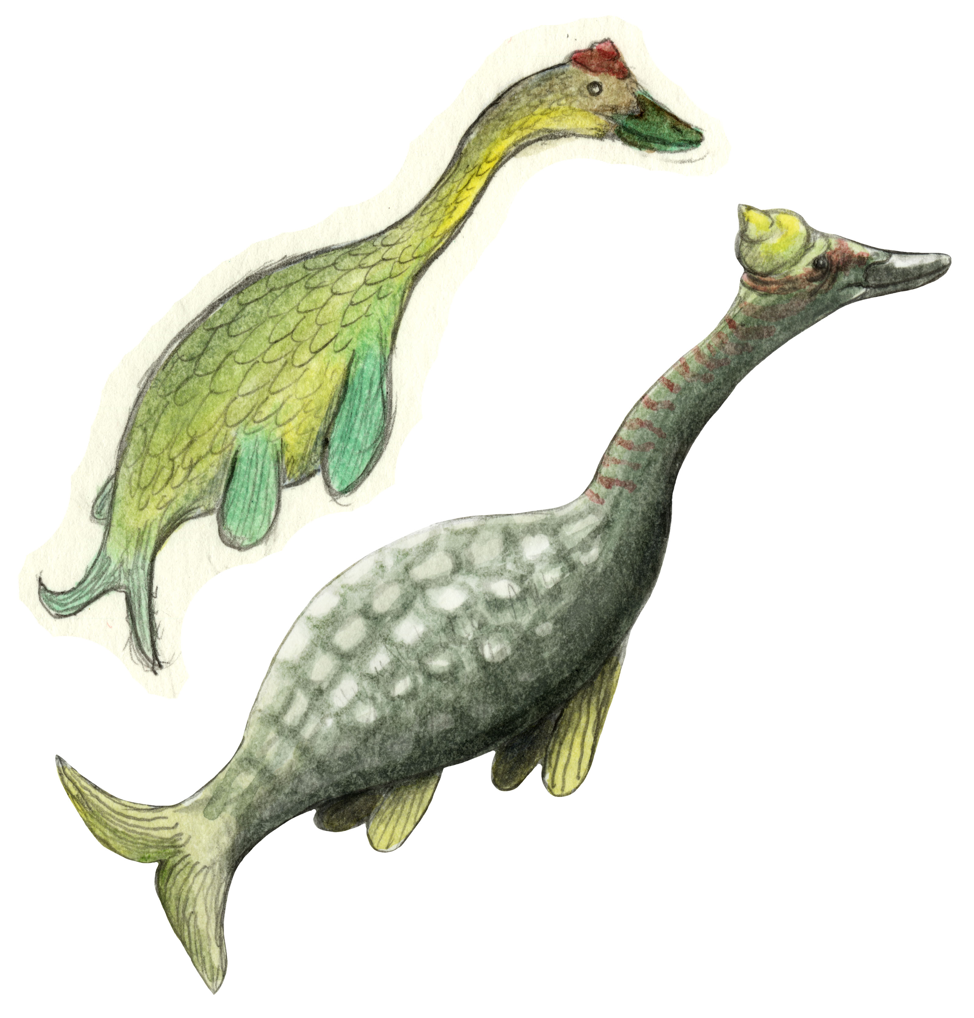 A Book of Creatures | A Complete Guide to Entities of Myth, Legend, and ...