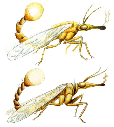 A Book of Creatures | A Complete Guide to Entities of Myth, Legend, and ...