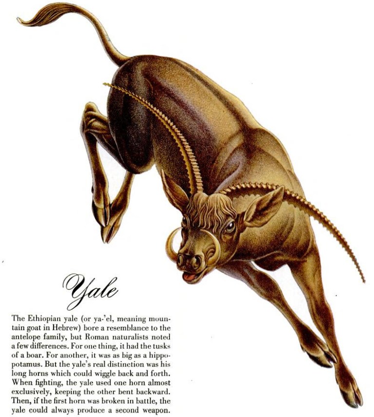 Wednesday Interlude | A Book of Creatures