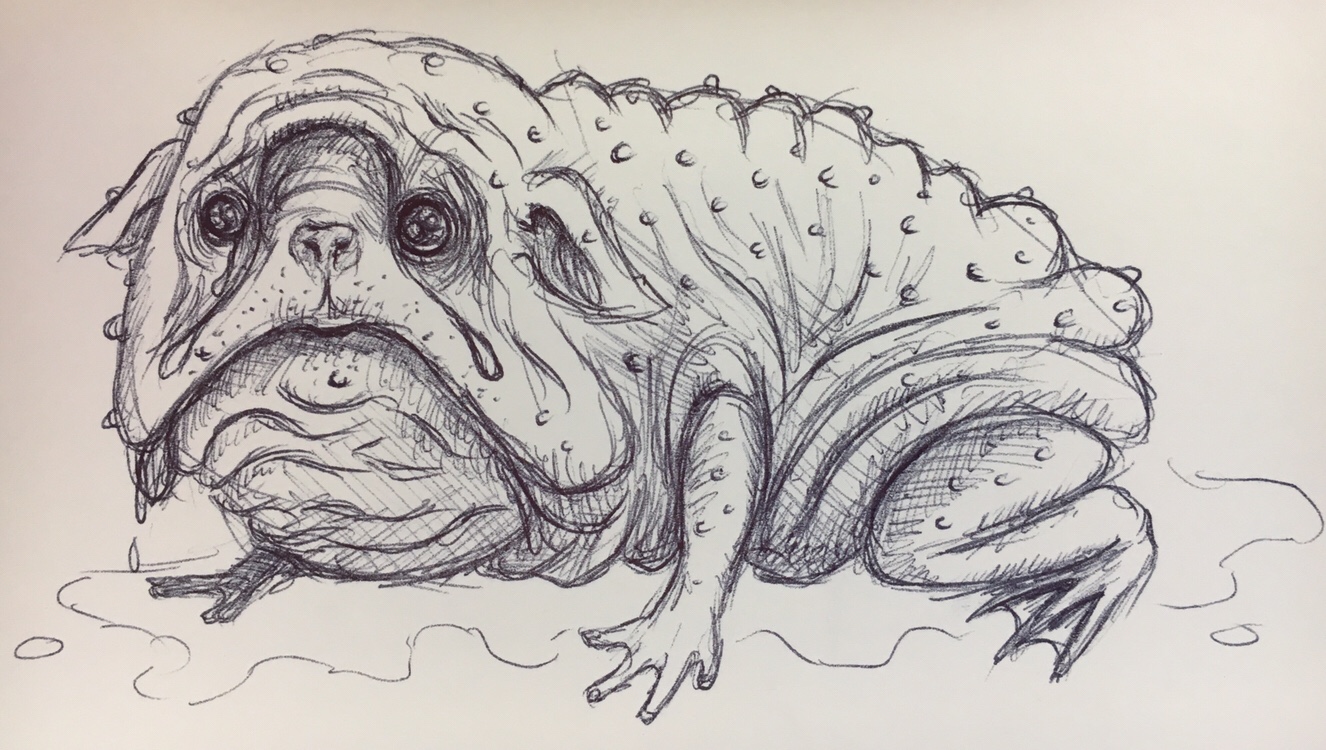 A Book of Creatures | A Complete Guide to Entities of Myth, Legend, and ...