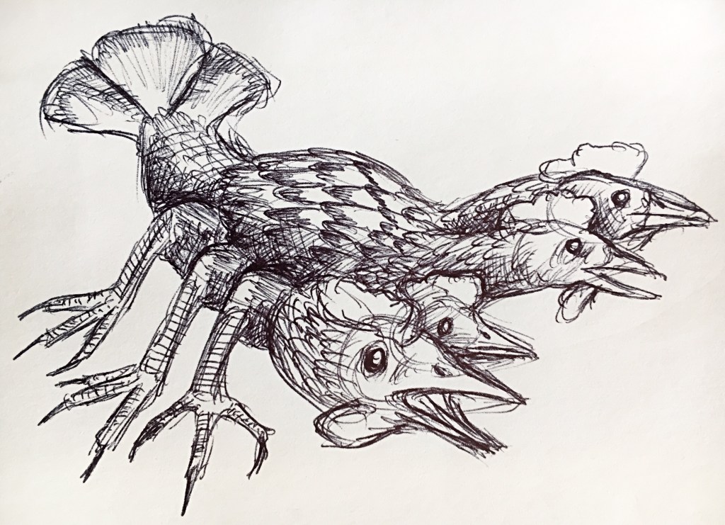 abookofcreatures | A Book of Creatures | Page 24