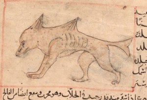 A Book of Creatures | A Complete Guide to Entities of Myth, Legend, and ...