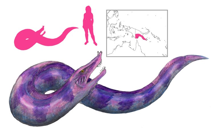 Abaia | A Book of Creatures