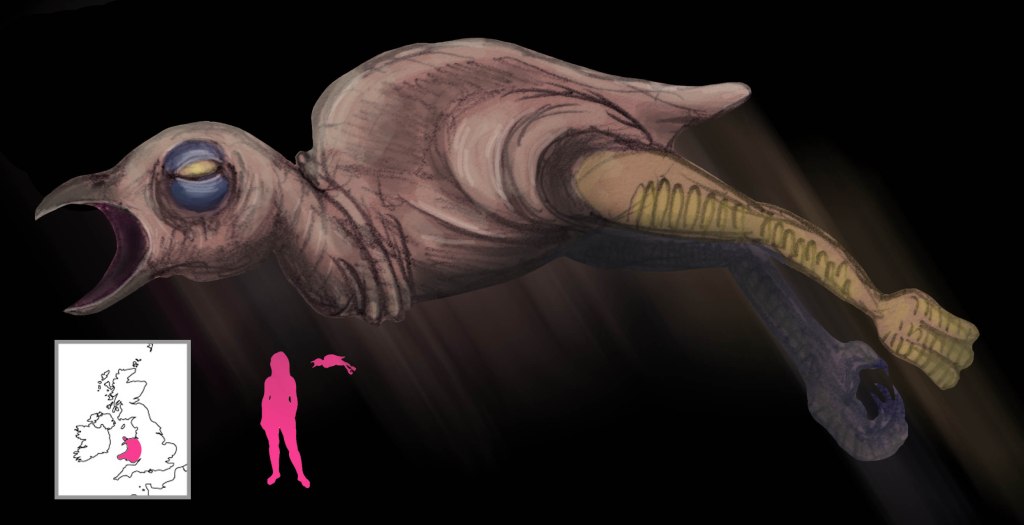 Aderyn y Corph | A Book of Creatures