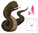 Ilomba | A Book of Creatures