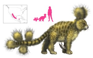 Cactus Cat | A Book of Creatures