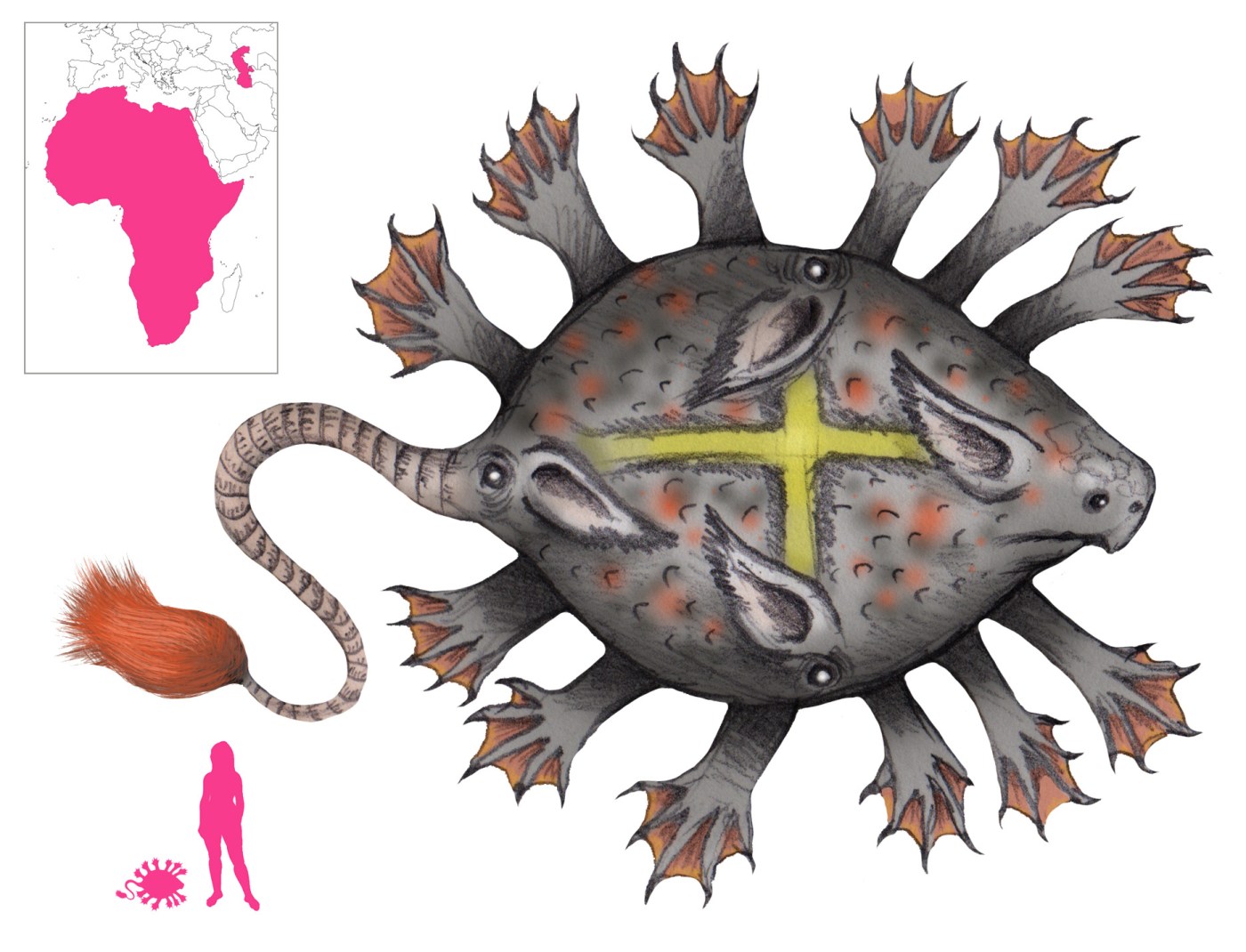Africa | A Book of Creatures
