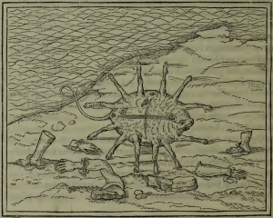 The “Turtle” of Iambulus | A Book of Creatures