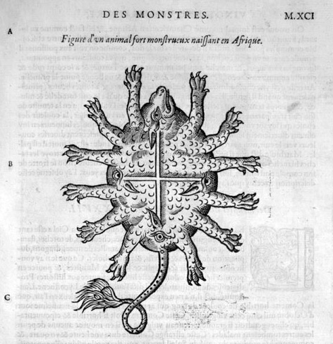 The “Turtle” of Iambulus | A Book of Creatures