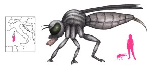 Insect folklore | A Book of Creatures