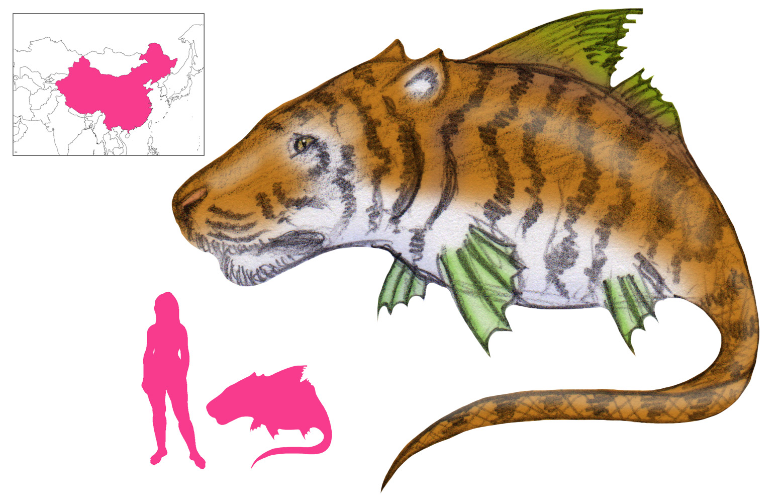 Hujiao | A Book of Creatures