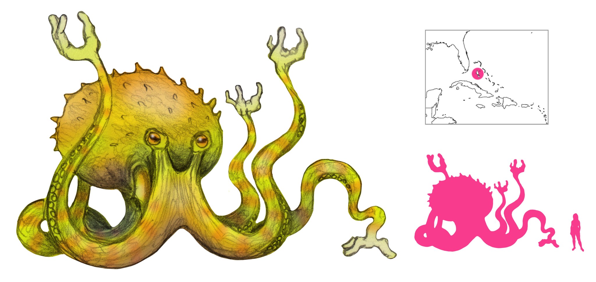 Lusca | A Book of Creatures