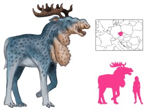 Lomie | A Book of Creatures