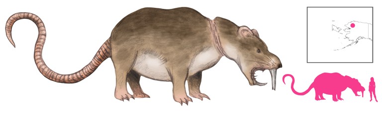 Inuit folklore | A Book of Creatures