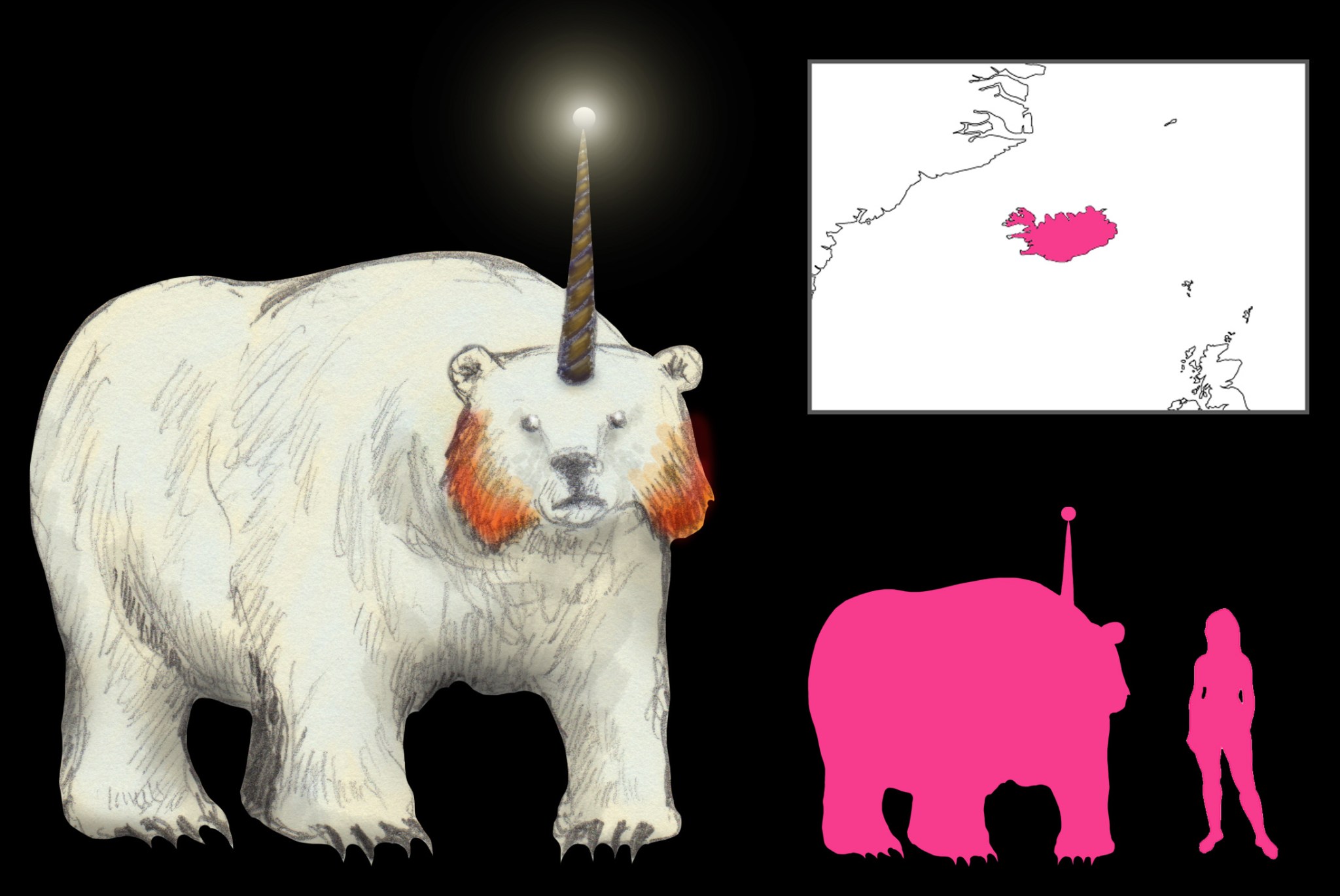 Iceland | A Book of Creatures