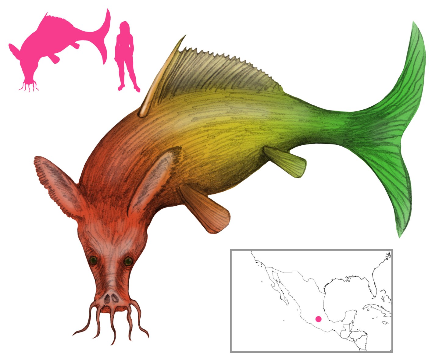 Fish folklore | A Book of Creatures
