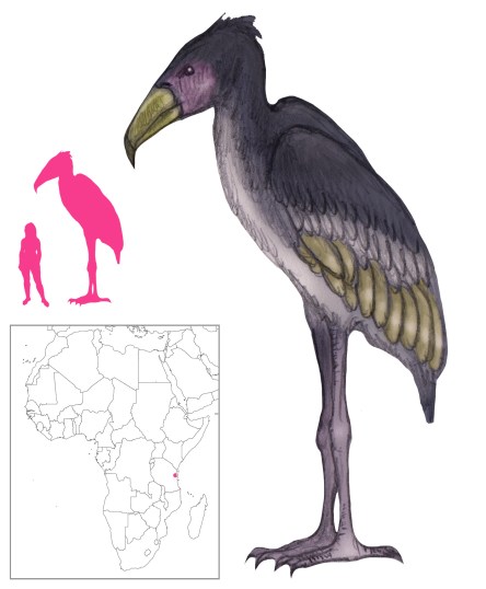 Bird folklore | A Book of Creatures