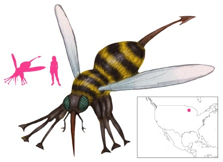 Insect folklore | A Book of Creatures