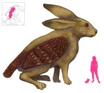 Skvader | A Book of Creatures