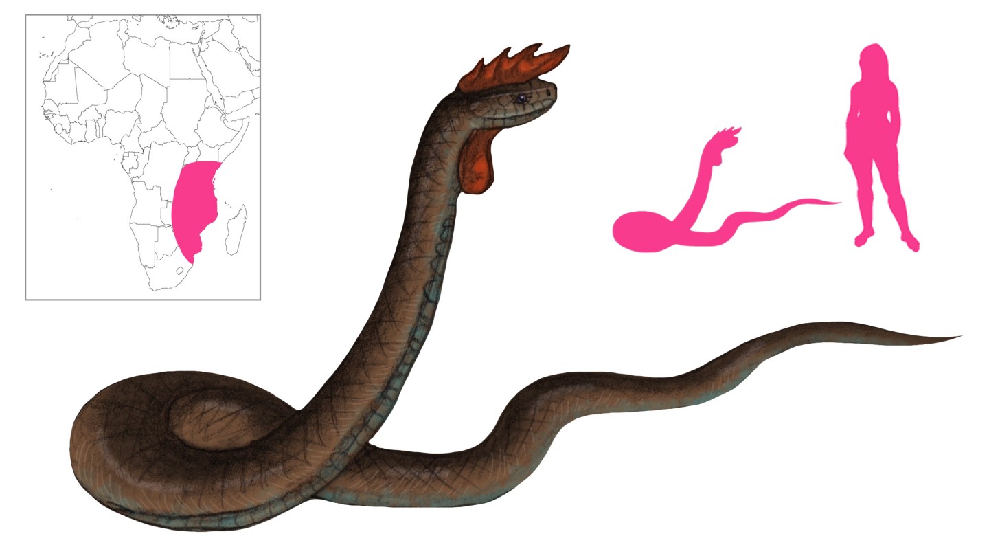 Reptile folklore | A Book of Creatures