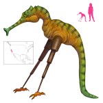 Monsters | A Book of Creatures